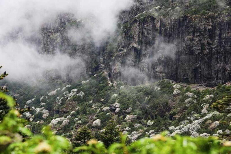 Kunming: Jiaozi (Sedan Chair) Snow Mountain Hiking Day Trip - What’s Included and What’s Not