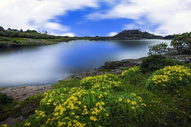 Kunming: Jiaozi (Sedan Chair) Snow Mountain Hiking Day Trip - Authentic Experiences and Traveler Tips