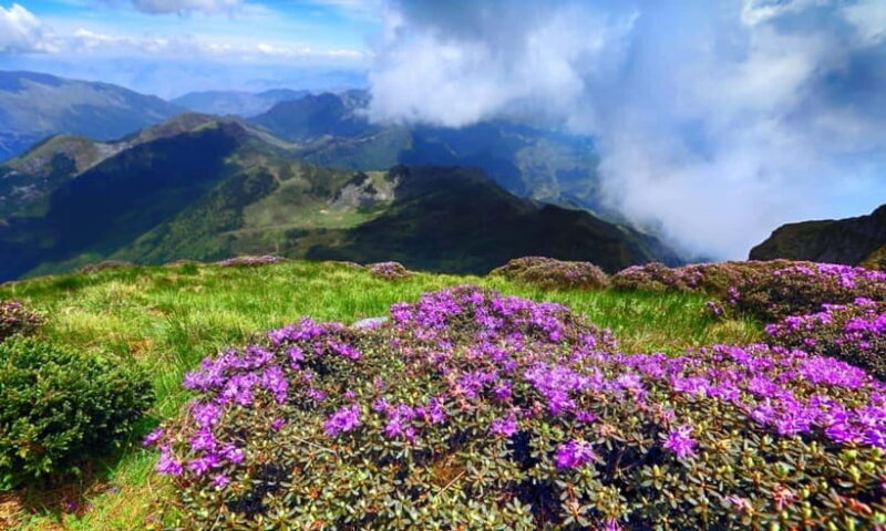 Kunming: Jiaozi (Sedan Chair) Snow Mountain Hiking Day Trip - The Human and Environmental Touch