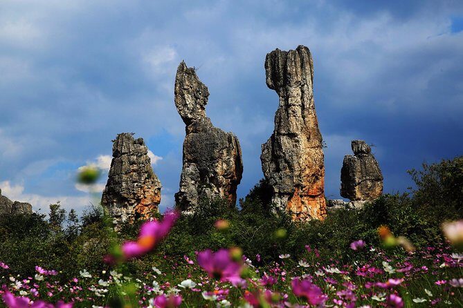Kunming Private Day Tour to Stone Forest and Chengzi Ancient Town - Key Points