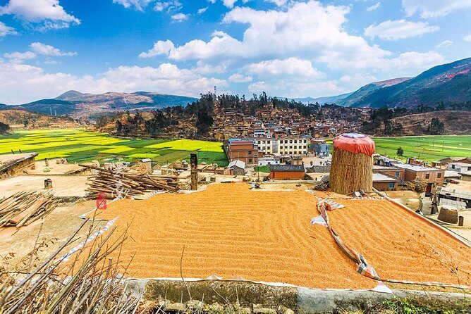 Kunming Private Day Tour to Stone Forest and Chengzi Ancient Town - What Makes This Tour Stand Out