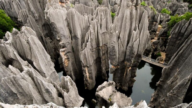 Kunming: Private Half Day Tour of Stone Forest Park w/Option - The Journey to the UNESCO Heritage Site