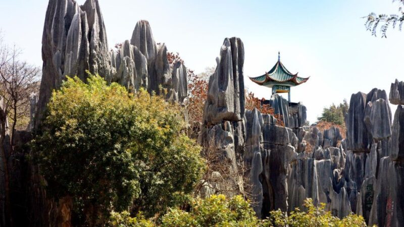 Kunming: Private Half Day Tour of Stone Forest Park w/Option - Cultural Performance and Local Flavors