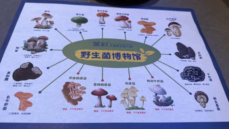 Kunming: Private Tour with Customizable Itinerary - Breaking Down the Itinerary: What You’ll Likely See and Feel