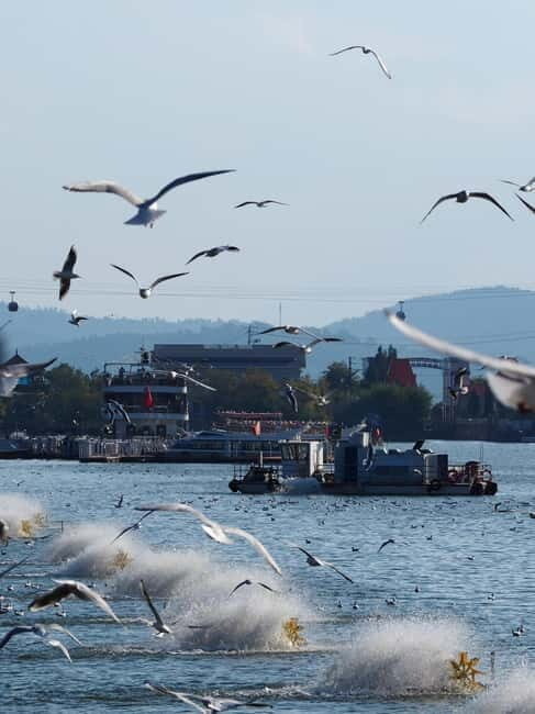 Kunming: Stone Forest and Dianchi Lake Day Trip with Lunch - Key Points