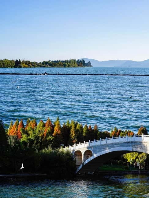 Kunming: Stone Forest and Dianchi Lake Day Trip with Lunch - A Closer Look at the Itinerary