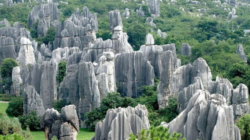 Kunming: Stone Forest & Chengzi Ancient Village Private Tour - Key Points