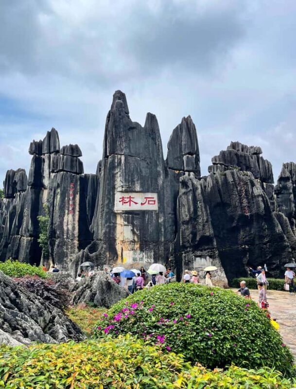 Kunming: Stone Forest Geopark Entry Ticket - A Closer Look at the Stone Forest Geopark Experience