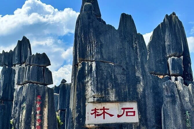 Kunming Stone Forest + Kunming City Private Tour - An In-Depth Look at the Tour