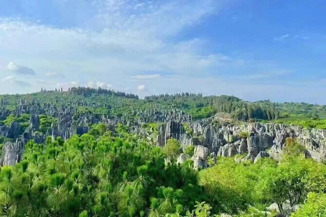 Kunming Stone Forest + Kunming City Private Tour - FAQs