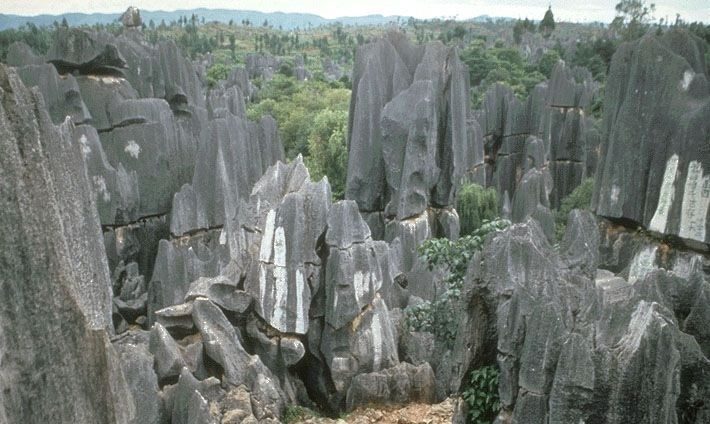Kunming: Stone Forest Private Day Tour - Practical Tips for the Visit