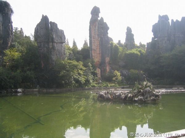 Kunming: Stone Forest Private Day Tour - FAQ