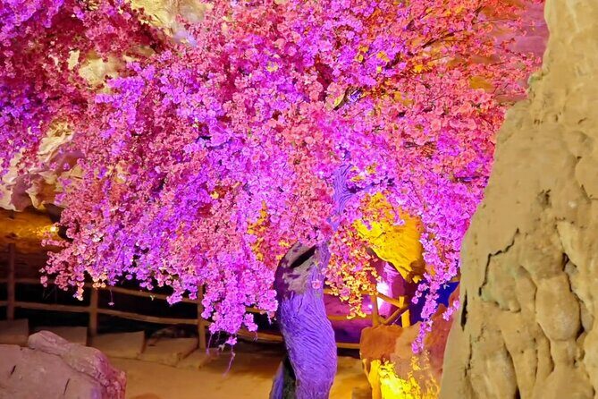 Kunming Yunnan One Day Tour of Jiuxiang - FAQs