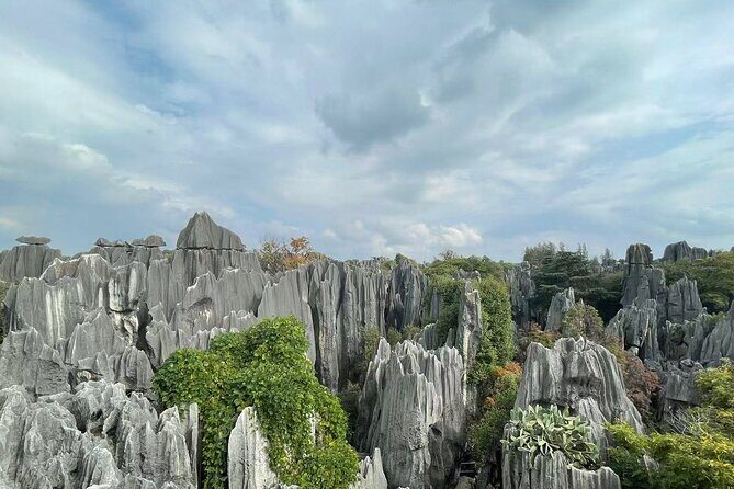 Kunming, Yunnan One Day Tour to Stone Forest Scenic Area - Key Points