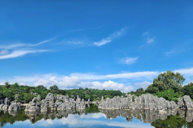 Kunming, Yunnan One Day Tour to Stone Forest Scenic Area - In-Depth Look at the Tour Experience