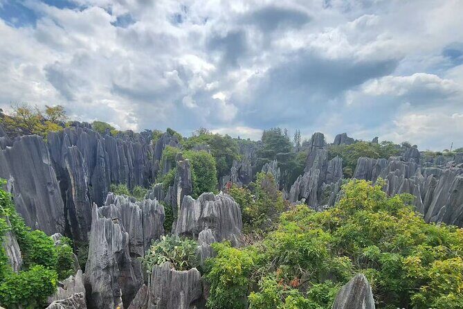 Kunming, Yunnan One Day Tour to Stone Forest Scenic Area - FAQ