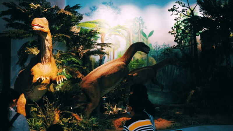 Kunming: Yunnan Provincial Museum Entry Reservation - FAQs