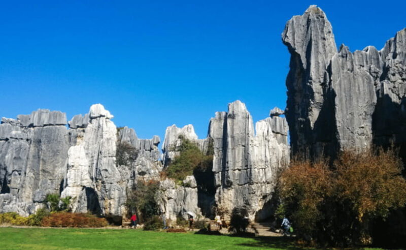 KunmingStone Forest Private Tour:Scenic Walks+Guide Insights - Final Thoughts