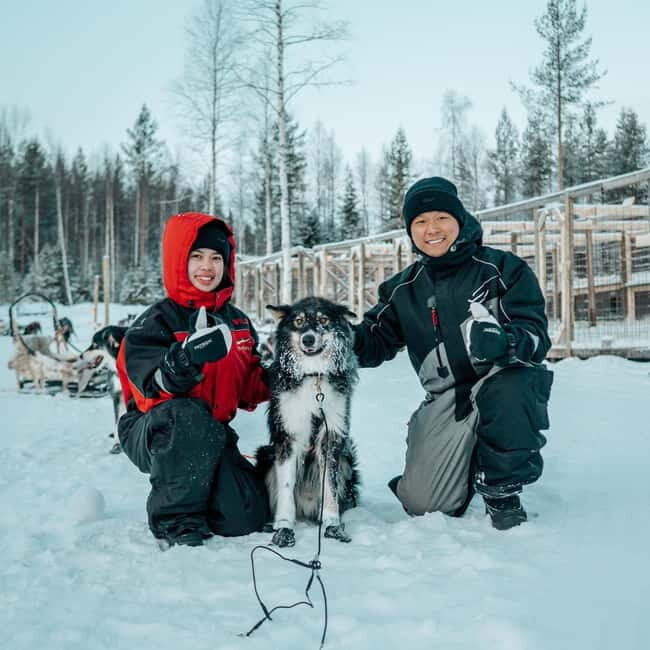 Kuoksa Husky & Reindeer Adventure - An Authentic Arctic Day in Lapland