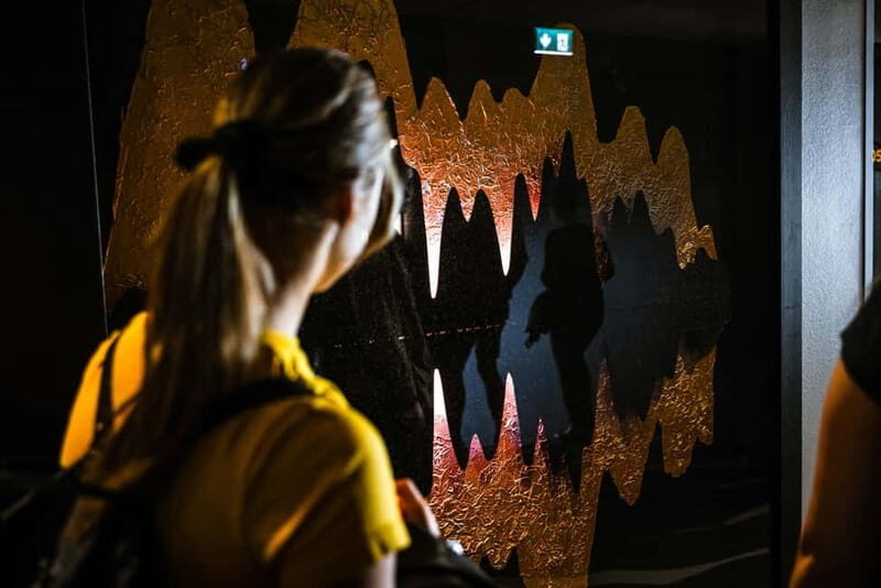 Kuopio: Silver Cultural Tour on Foot - Price and Value