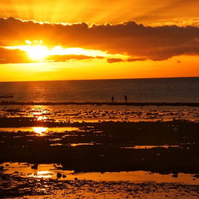 Kupang: Day Tour with Hotel Pickup and Drop-Off - Key Points