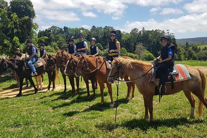 Kuranda 60 minute Horse Trail Ride and Petting Farm - What the Tour Offers: A Closer Look
