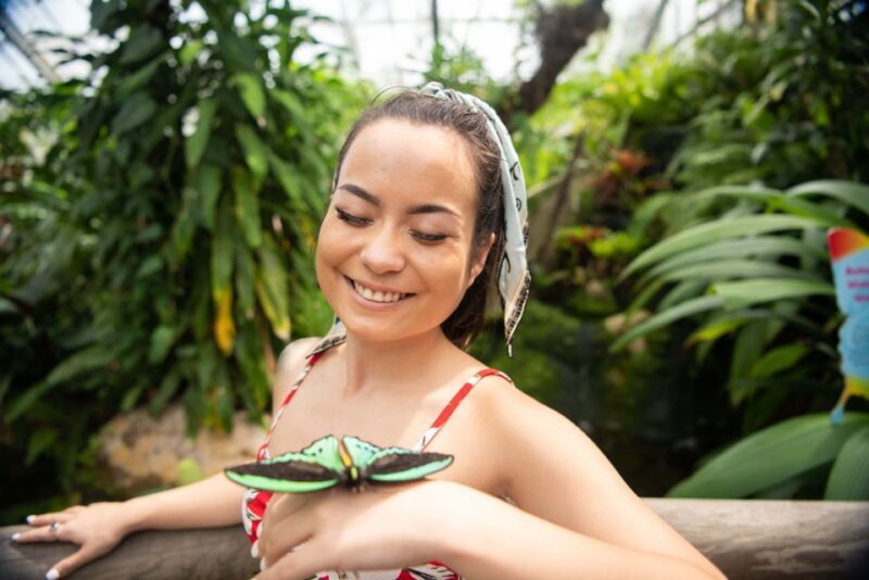 Kuranda: Australian Butterfly Sanctuary - Who Will Love the Australian Butterfly Sanctuary?
