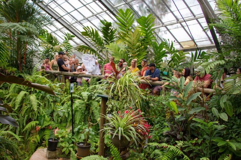 Kuranda: Australian Butterfly Sanctuary - Final Thoughts: Is It Worth It?