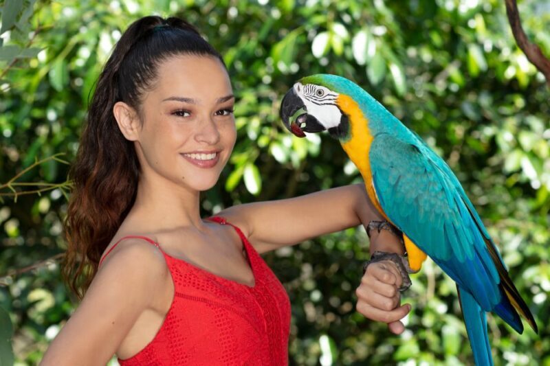 Kuranda: Birdworld Entry Ticket - A Closer Look at Birdworld Kuranda