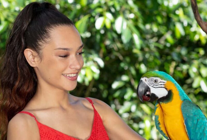 Kuranda by Design, a VIP package experience - Introduction