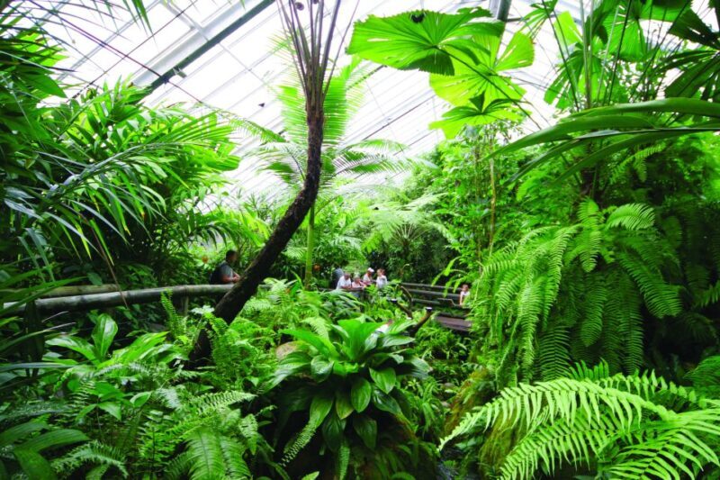 Kuranda, Cairns & Port Douglas Multi-Park Package - Final Thoughts