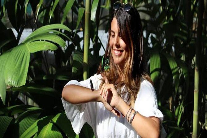 Kuranda Day Tour, TKS-3 Wildlife Gold 930 - A Detailed Look at the Kuranda Day Tour