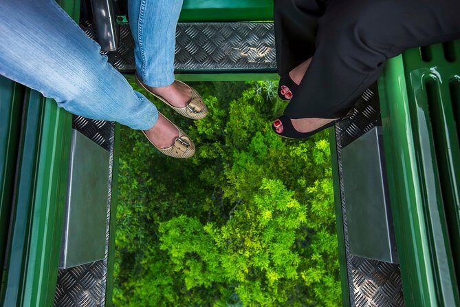 Kuranda Day Tour, TKS-3 Wildlife Gold 930 - The Sum Up