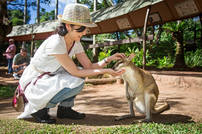 Kuranda Day Tour, TKS-RFS CLASSIC GOLD PLUS 0930 - Frequently Asked Questions