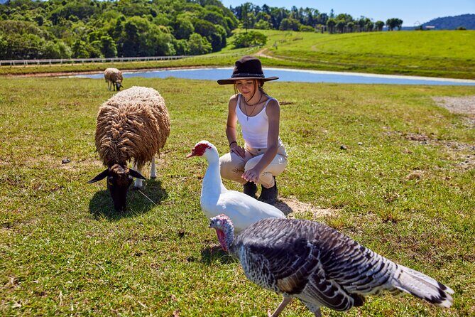 Kuranda Half Day Including Quad Bike Experience and Petting Zoo - FAQs
