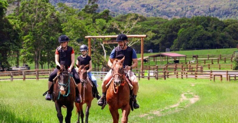 Kuranda Half Day with Petting Zoo & Horse Trail Ride Tour - Key Points