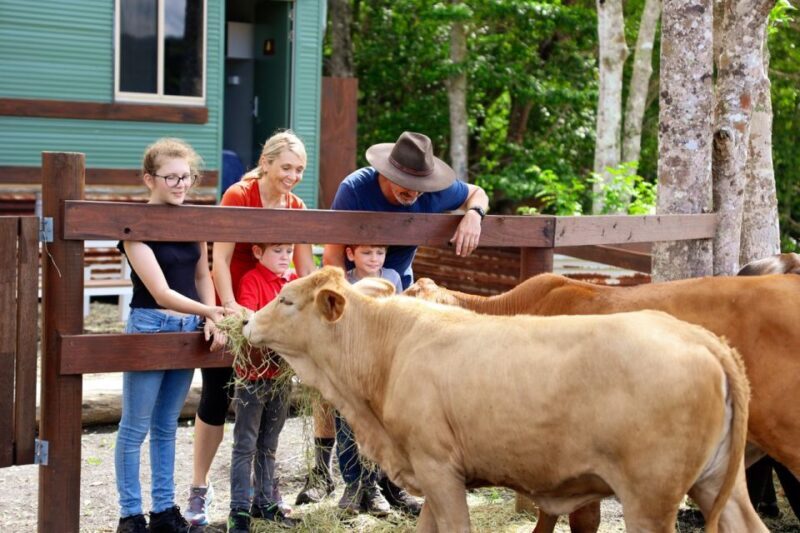 Kuranda Half Day with Petting Zoo & Horse Trail Ride Tour - What Makes This Experience Stand Out?