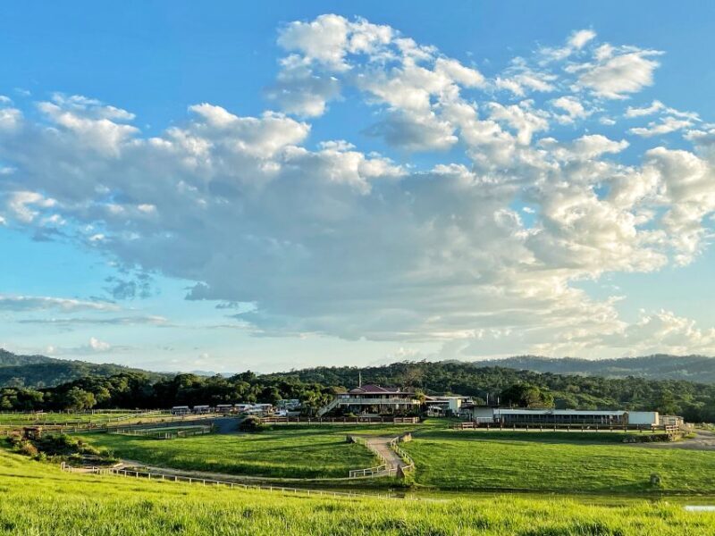 Kuranda Half Day with Petting Zoo & Horse Trail Ride Tour - The Practicalities: What to Expect and Tips for Travelers