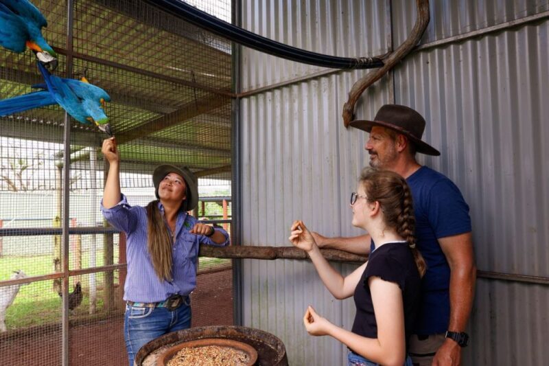 Kuranda Half Day with Petting Zoo & Horse Trail Ride Tour - FAQ