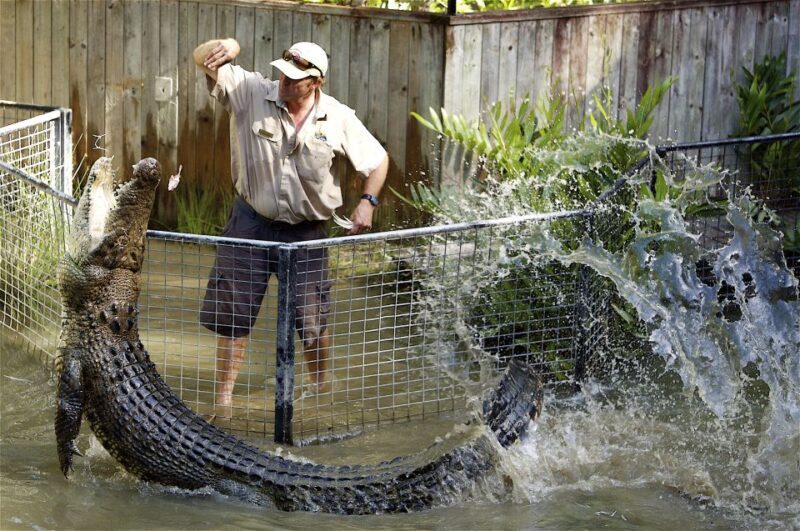 Kuranda & Hartley's Crocodile Adventures - Authentic Experiences and What Travelers Say