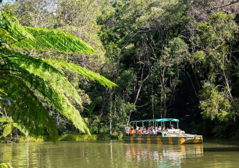 Kuranda Pamagirri Aboriginal Premium Full-Day Tour - Discover the Heart of Queensland’s Rainforest and Indigenous Culture with the Kuranda Pamagirri Aboriginal Premium Full-Day Tour