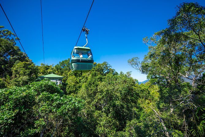 Kuranda Scenic Railway Day Trip from Palm Cove - The Value and Practicalities