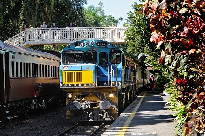 Kuranda Tour Express Adventure - What We Think: The Value and Who Benefits