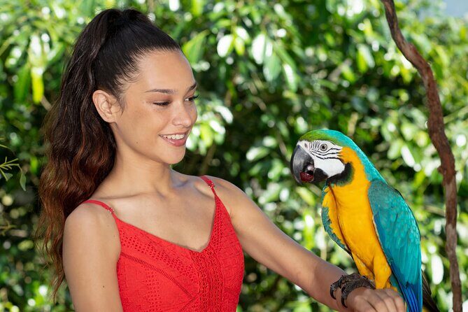 Kuranda Wildlife Experience Deluxe Multi Attraction Pass - Key Points