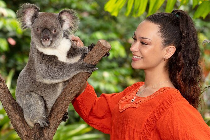 Kuranda Wildlife Experience Deluxe Multi Attraction Pass - Itinerary Breakdown