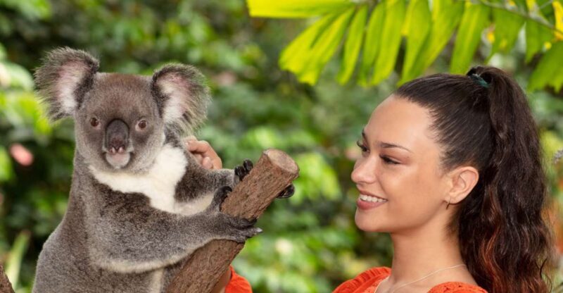 Kuranda Wildlife Experience: Koalas, Birds & Butterflies - A Deep Dive into the Kuranda Wildlife Tour