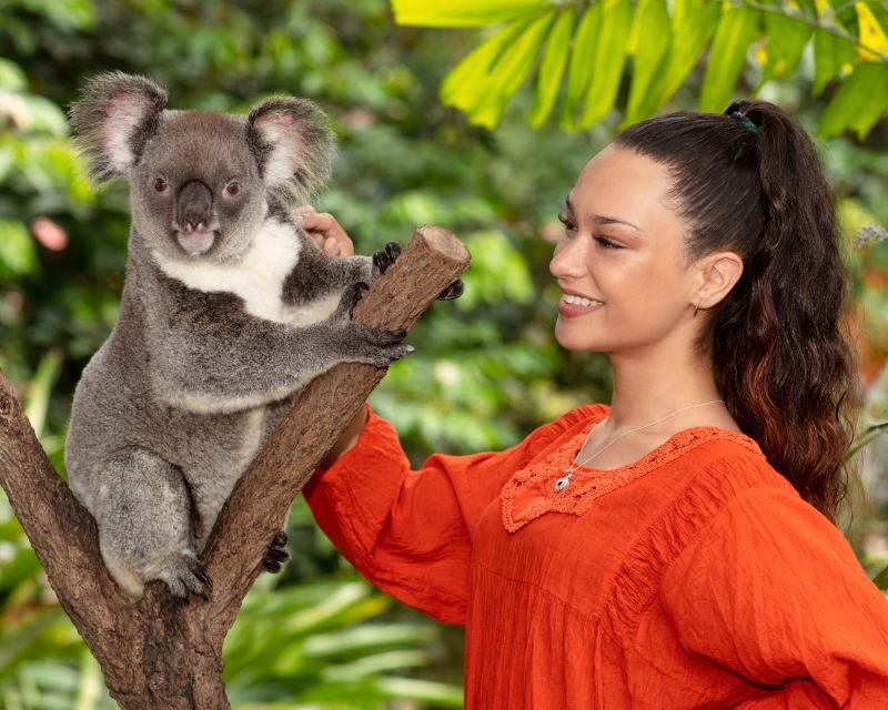 Kuranda Wildlife Experience: Koalas, Birds & Butterflies - Final Thoughts