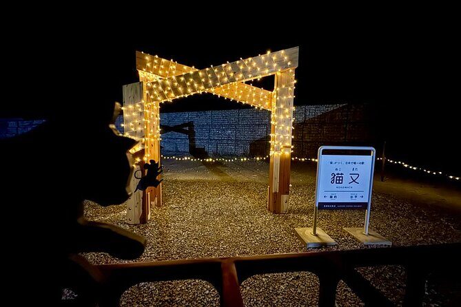 Kurobe Gorge Twilight Train Premium Night Journey - Key Points