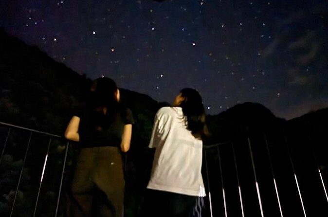 Kurobe Gorge Twilight Train Premium Night Journey - The Itinerary in Detail: What to Expect