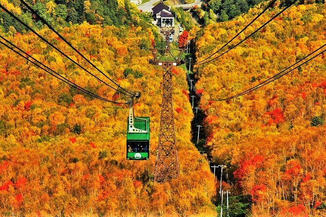 Kurodake Ropeway, Asahiyama Zoo Autumn Leaves Bus Tour - Key Points